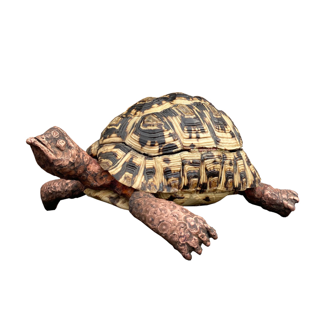 HANDMADE COPPER TURTLE BOX WITH TORTOISE SHELL – Downtown 20 LA